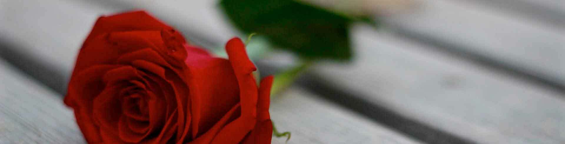 Romance Audiobook Narrators | Hire Voices for Love & Emotion | Voquent